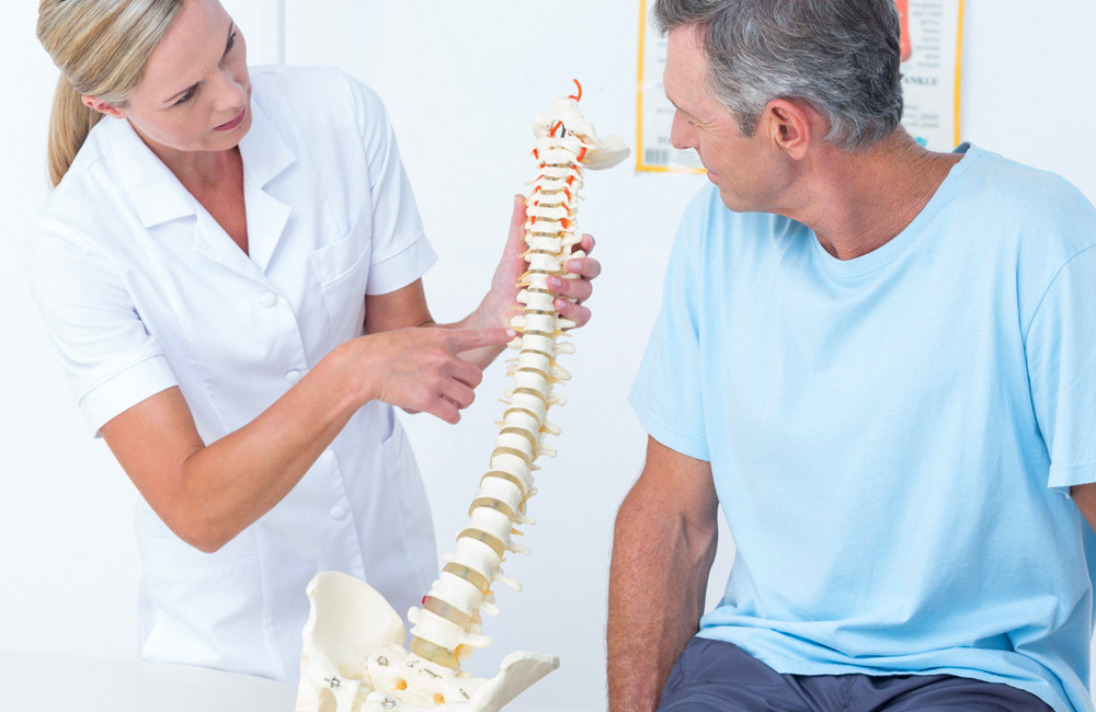 Back Supports - Back Supports